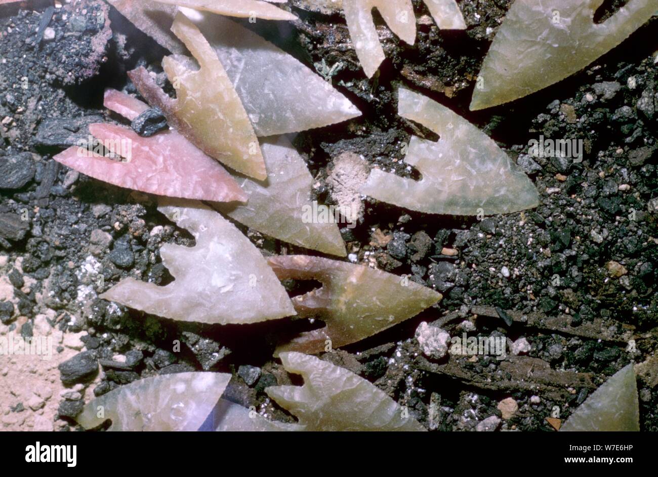 Neolithic arrowheads hi-res stock photography and images - Alamy