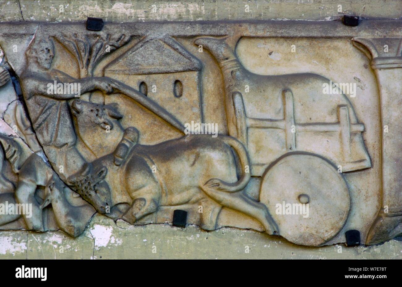 Roman ox cart hi-res stock photography and images - Alamy