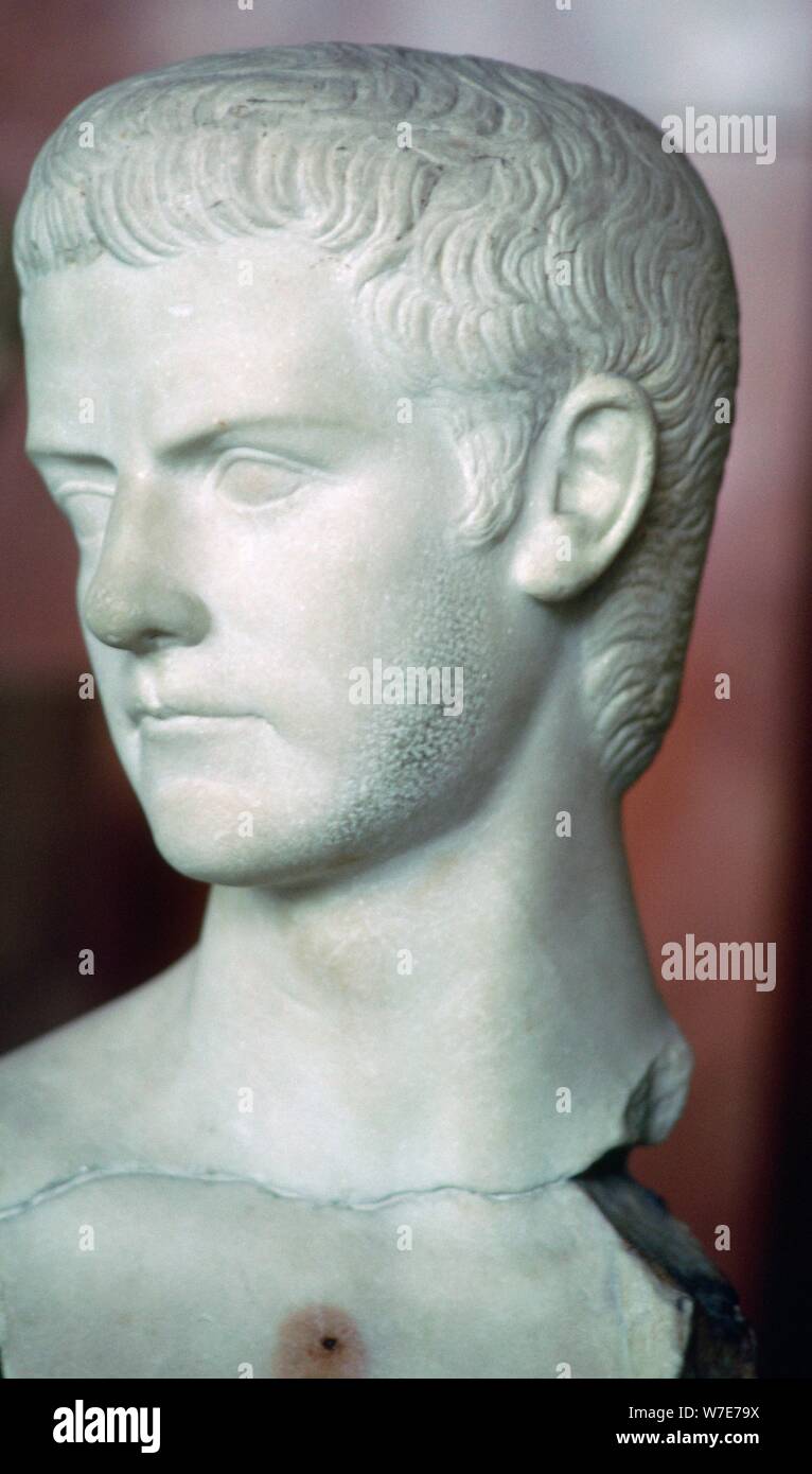 Bust of Caligula, 1st century. Artist: Unknown Stock Photo - Alamy
