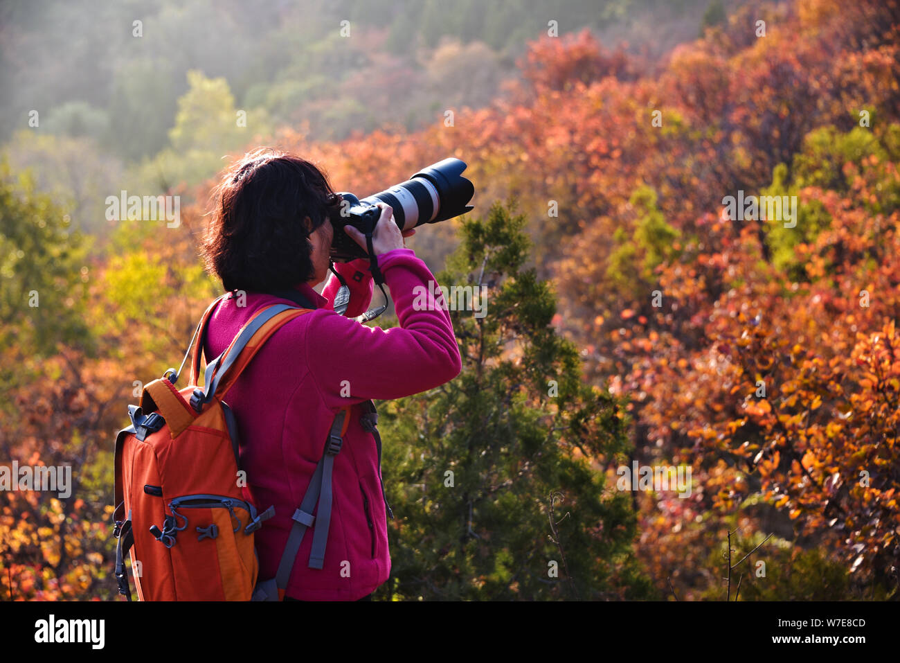 A photographer takes photos of the Badaling Great Wall enveloped in ...