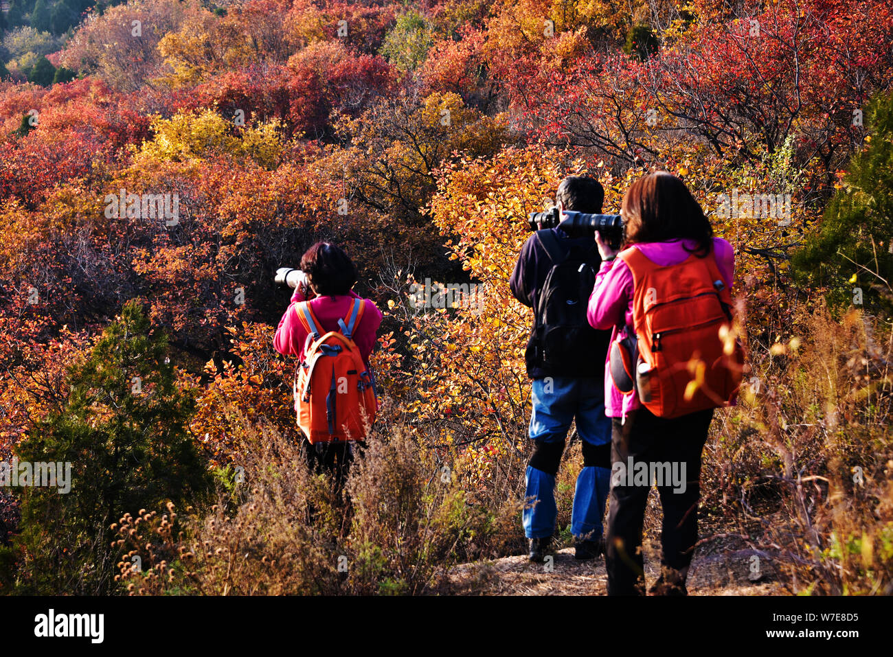 Photographers take photos of the Badaling Great Wall enveloped in thick ...