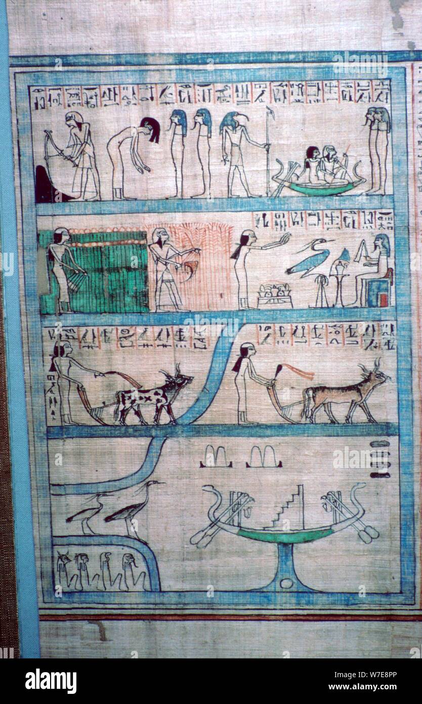 Egyptian papyrus farming hi-res stock photography and images - Alamy