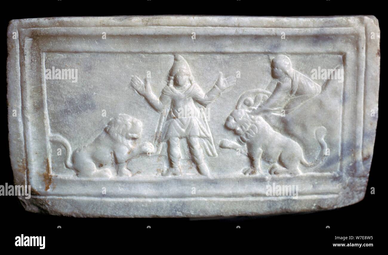 Lion den hi-res stock photography and images - Alamy