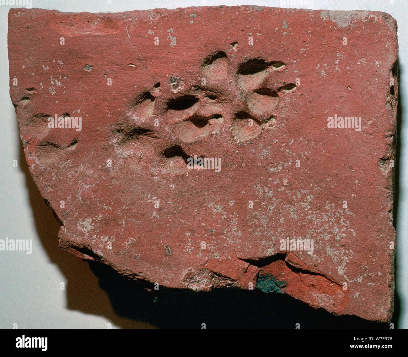 Roman tile with a dog's footprint, 3rd century. Artist: Unknown Stock ...