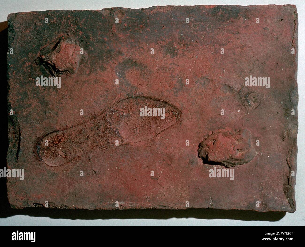 Roman tile with a human footprint, 3rd century. Artist: Unknown Stock ...