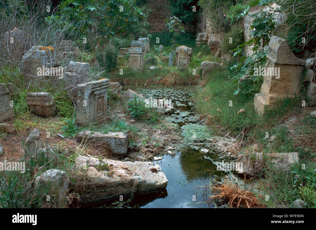 Sanctuary of the gods Tanit and Baal Hammon in Carthage. Artist ...