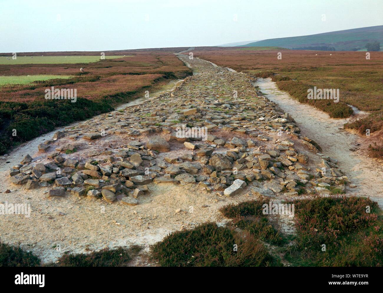 Roman road over Wheeldale Moor. Artist: Unknown Stock Photo - Alamy