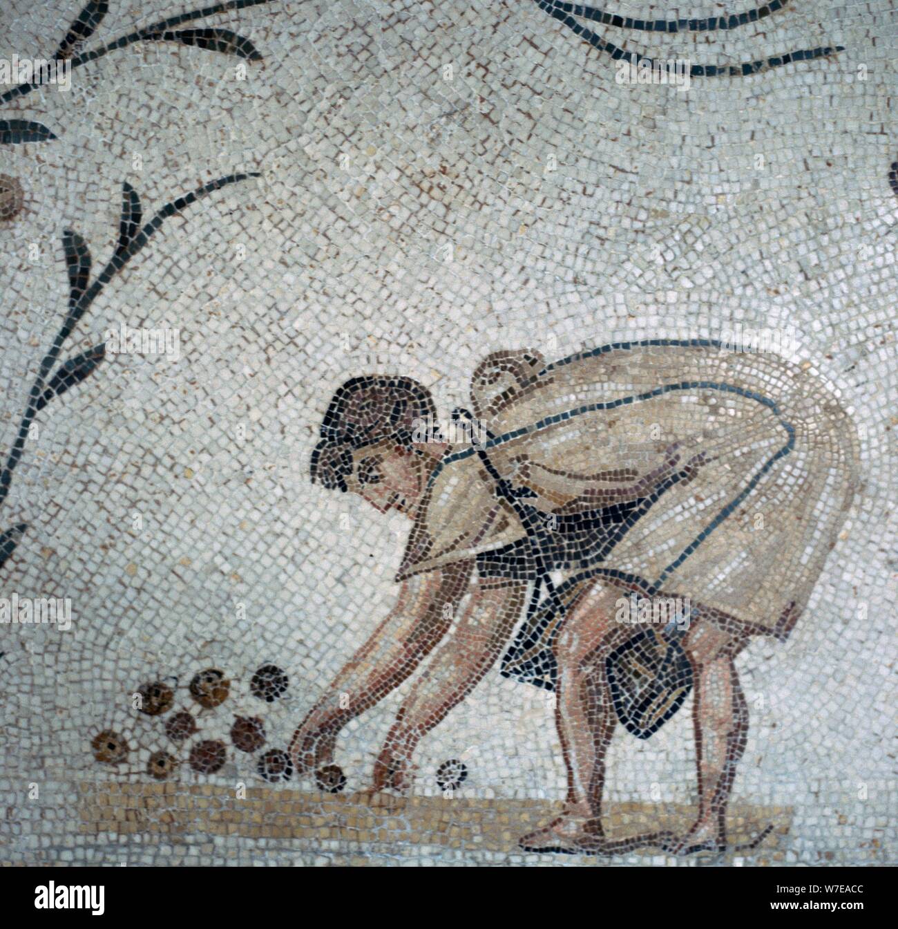 Detail of a Roman mosaic showing fruit-gathering, 2nd century. Artist ...