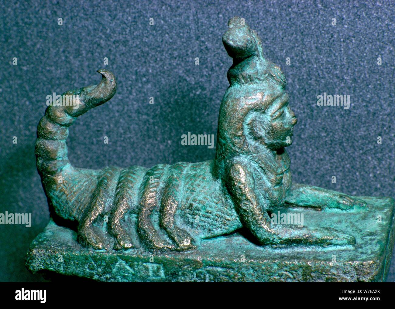 Egyptian scorpion hi-res stock photography and images - Alamy