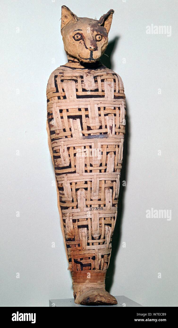 Country cat hi-res stock photography and images - Alamy