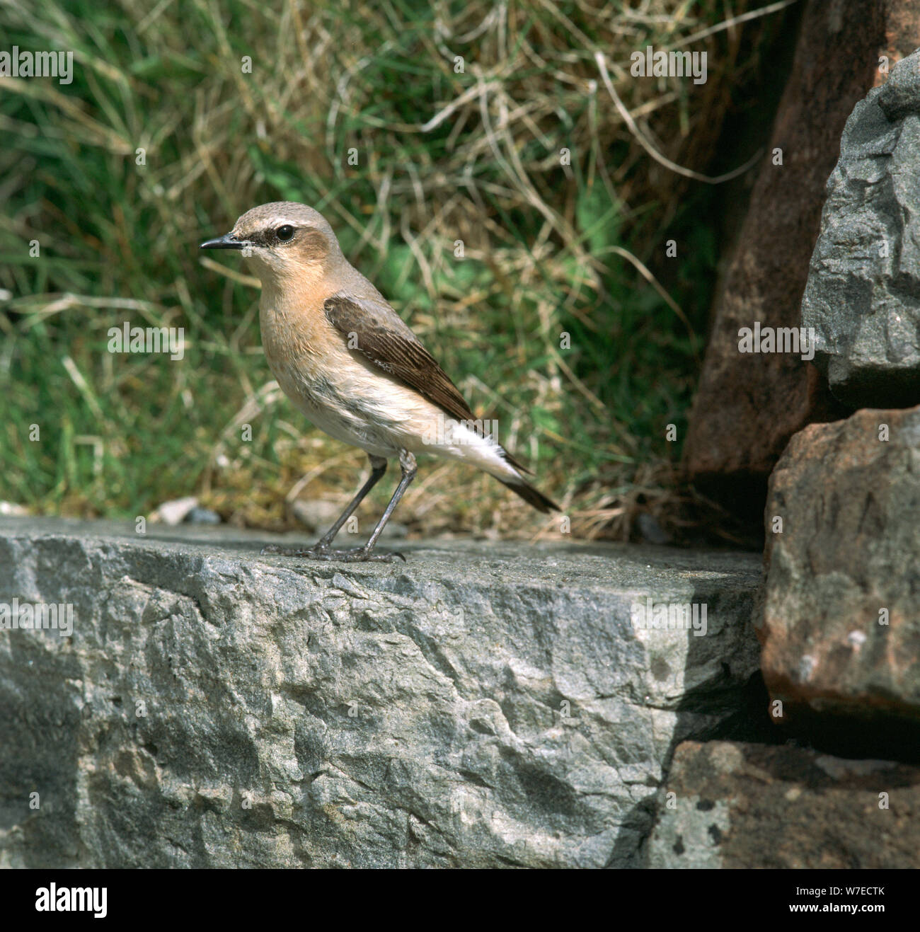 Colour concept hi-res stock photography and images - Alamy