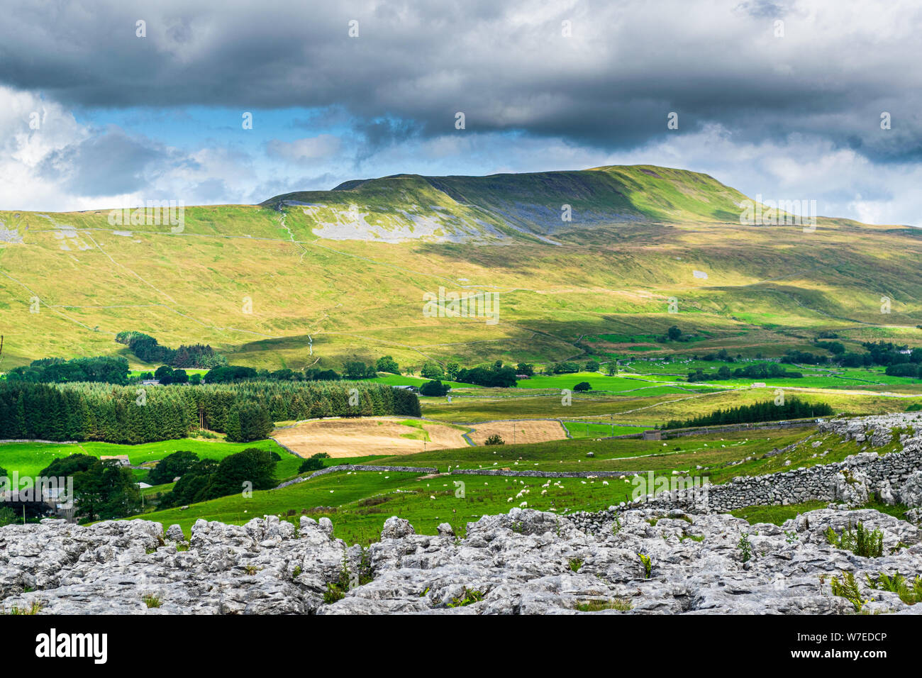 Clints and grikes hi-res stock photography and images - Alamy