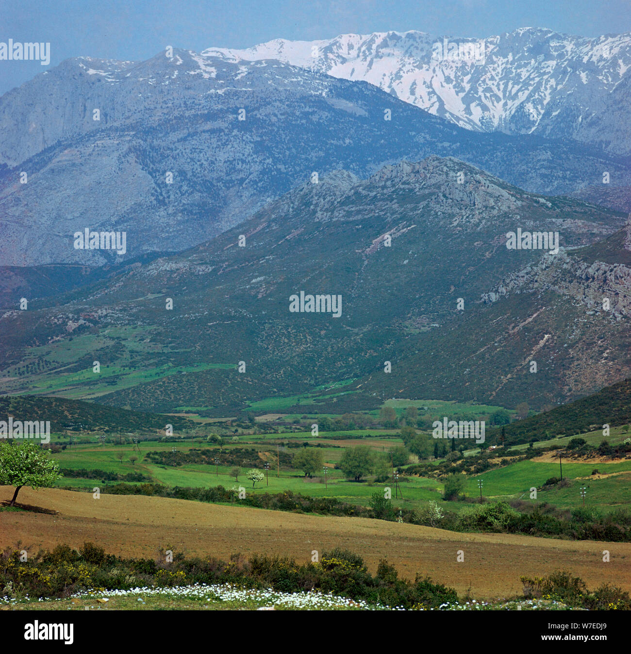 Mount Parnassus in Greece Stock Photo - Alamy