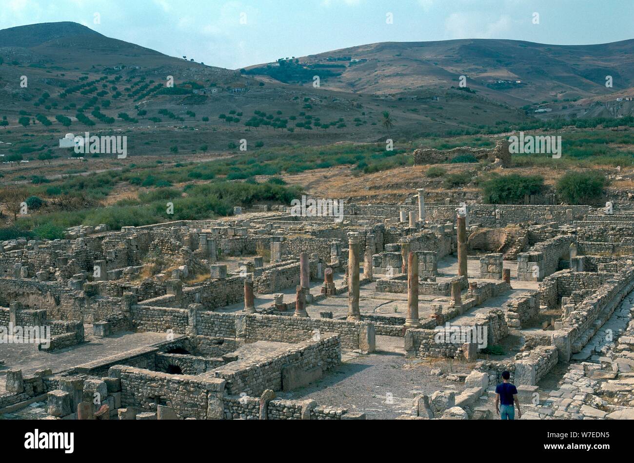Regia rome hi-res stock photography and images - Alamy