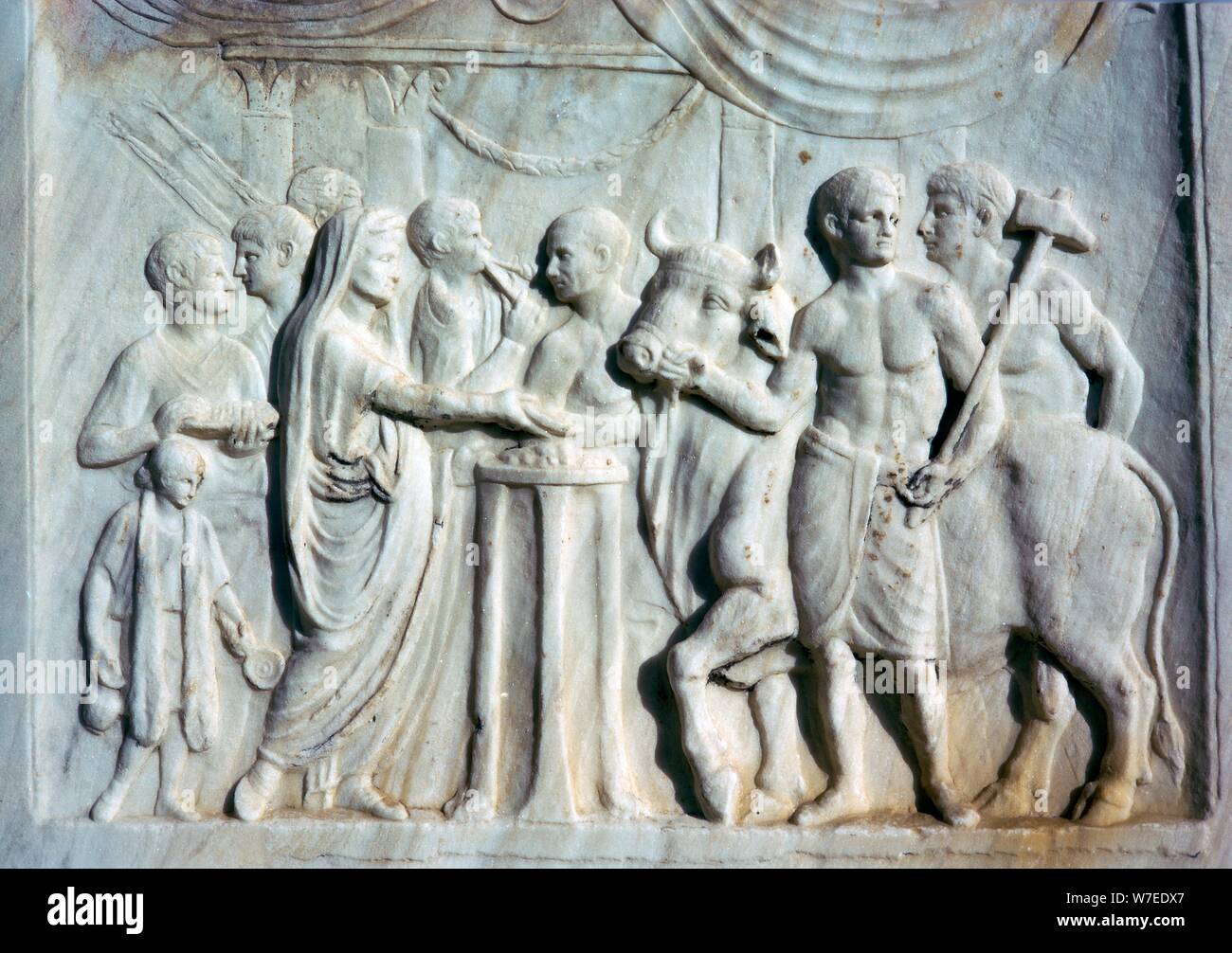 Cult bull hi-res stock photography and images - Alamy