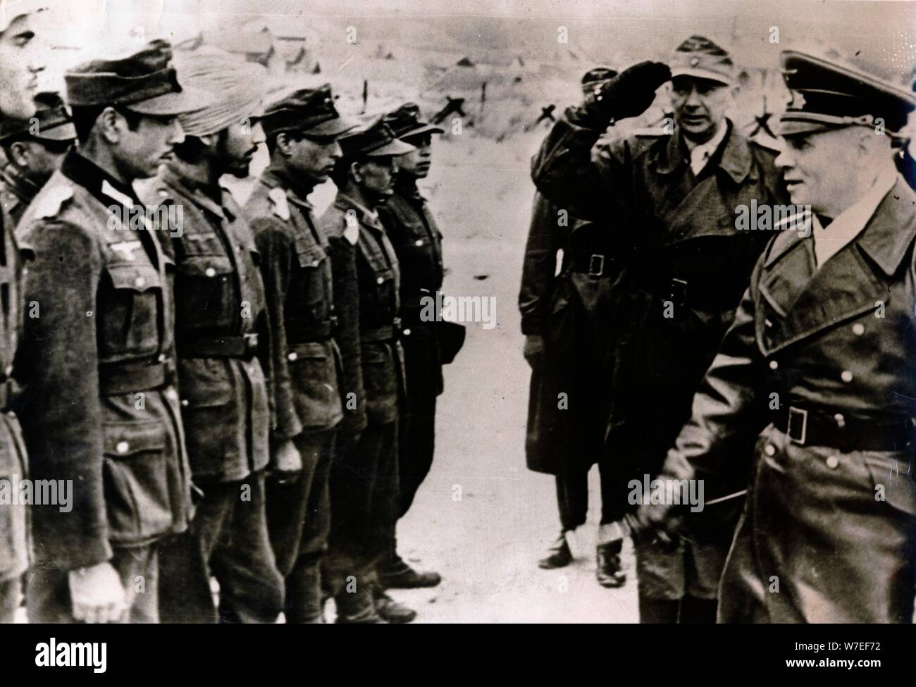 Portrait erwin rommel hi-res stock photography and images - Alamy