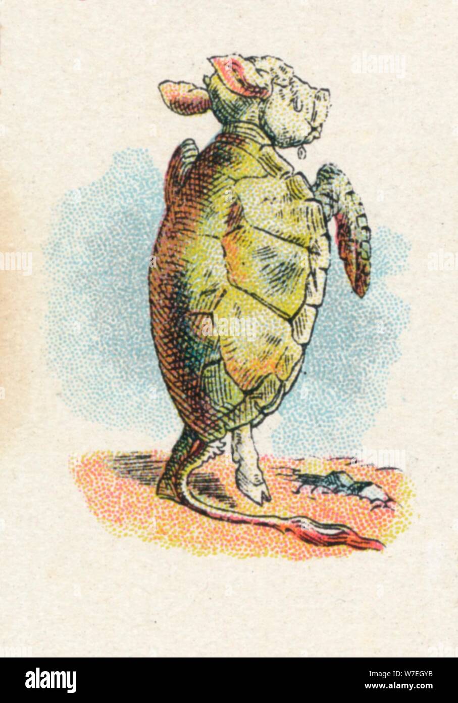 Mock turtle hi-res stock photography and images - Alamy