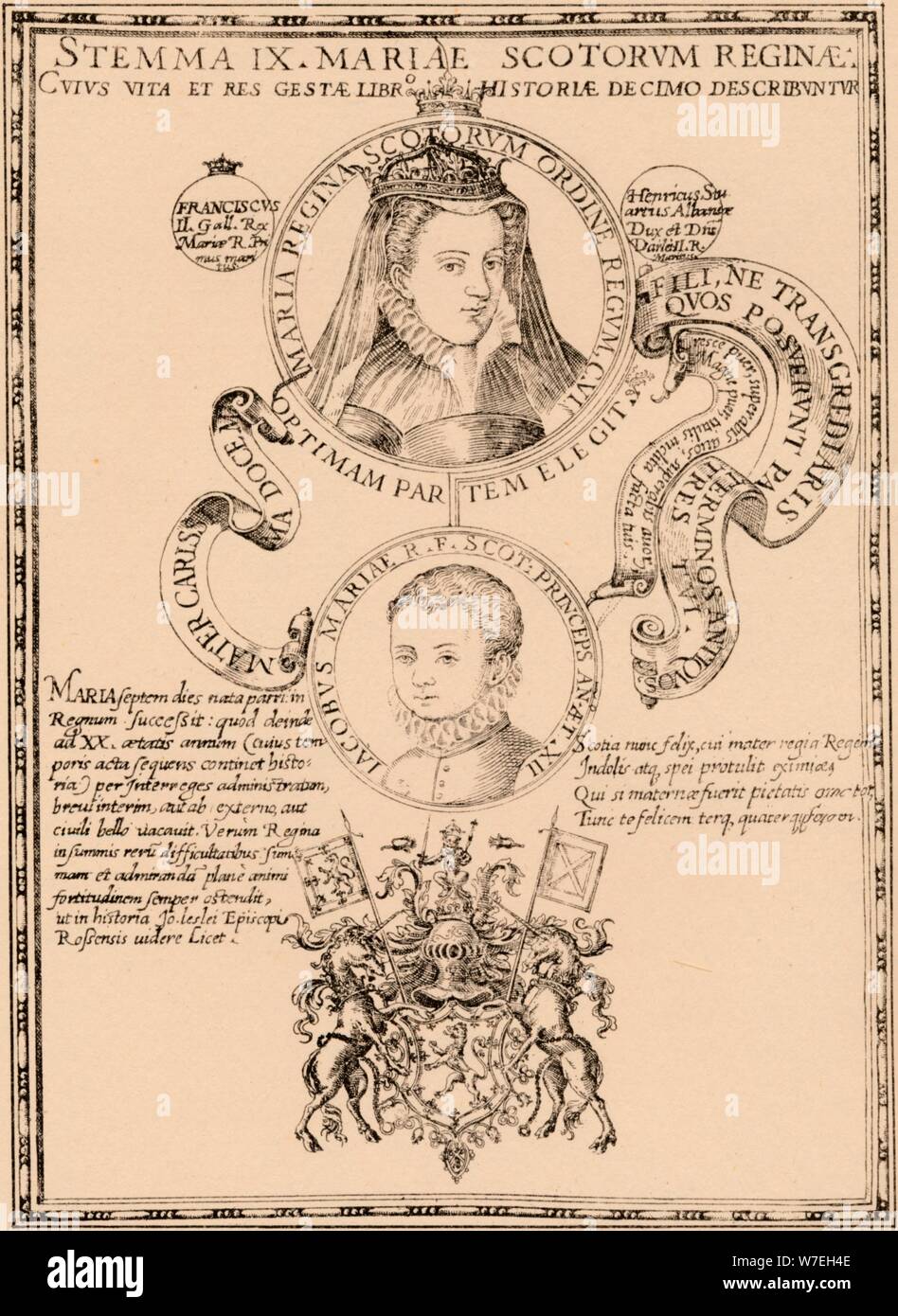 Mary Queen Of Scots Family Tree