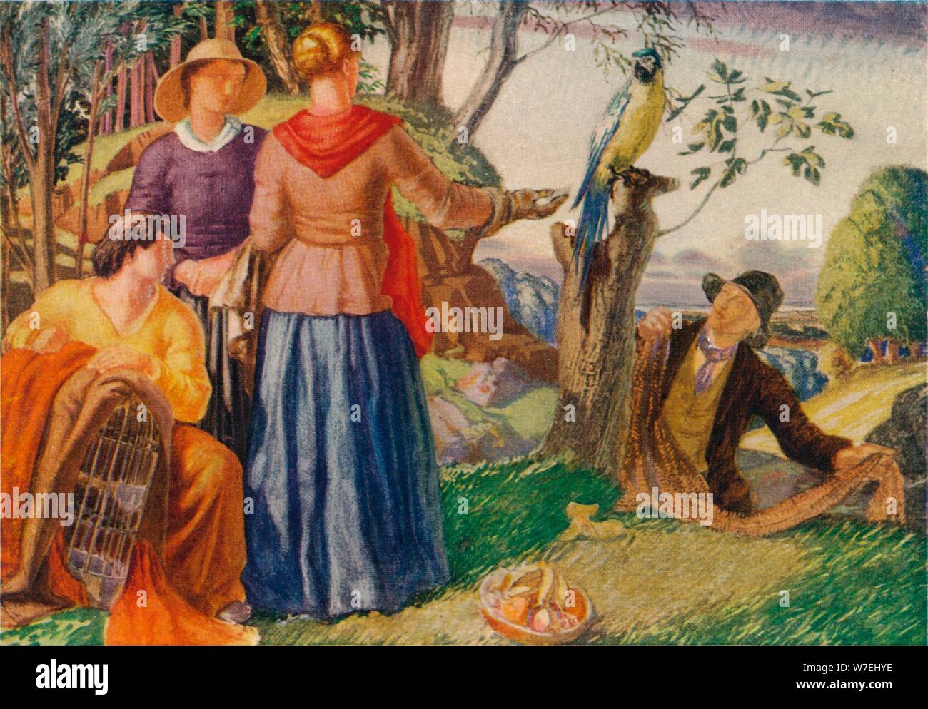 Lady macaw hi-res stock photography and images - Alamy