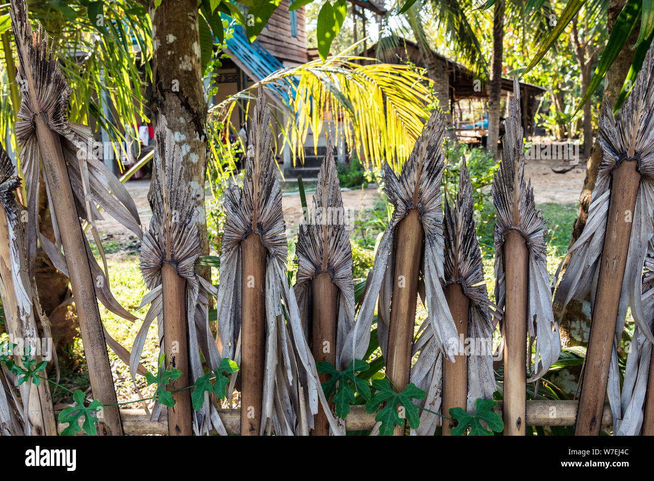 Beautiful Countryside view in tropical rural district, Siem Reap ...