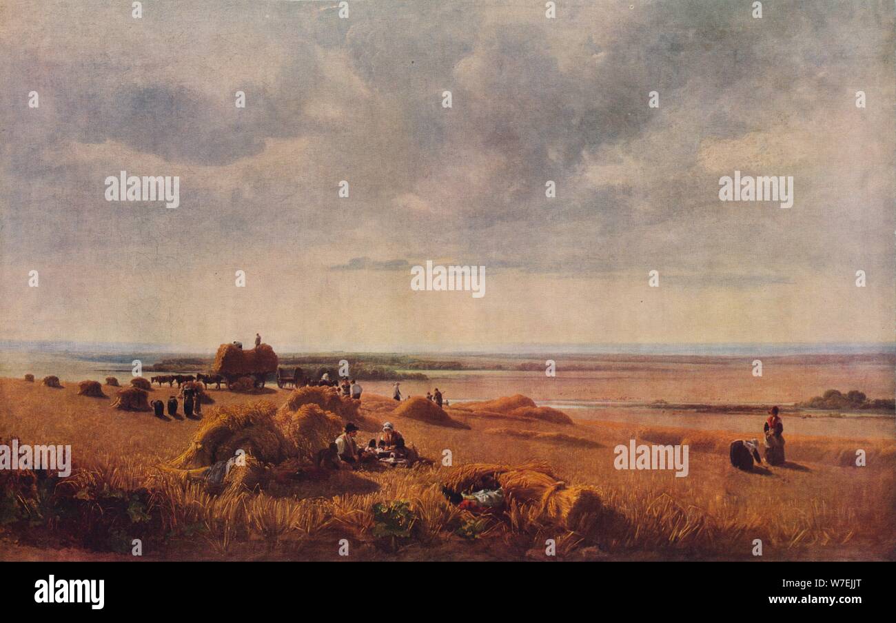 A Cornfield, 1815, (1938). Artist: Peter de Wint Stock Photo - Alamy