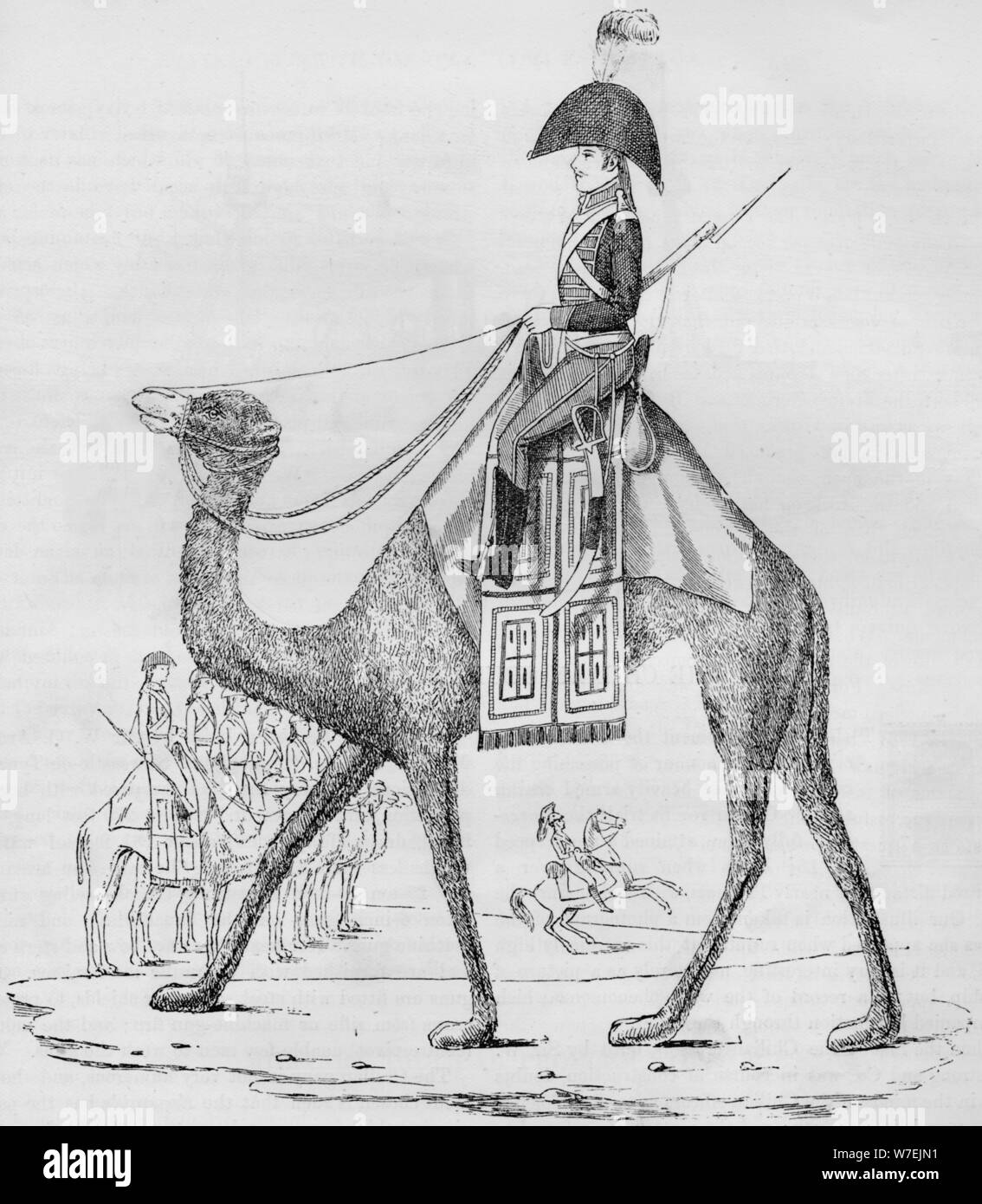 French Domedary Regiment. Captured with a Convoy in the Lybian Desert ...