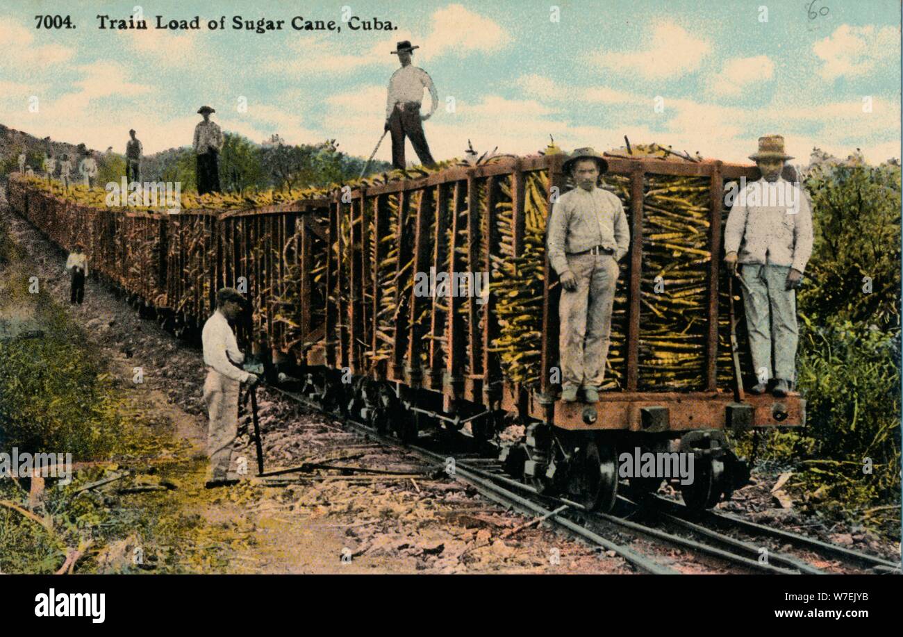 Sugarcane transport hi-res stock photography and images - Alamy