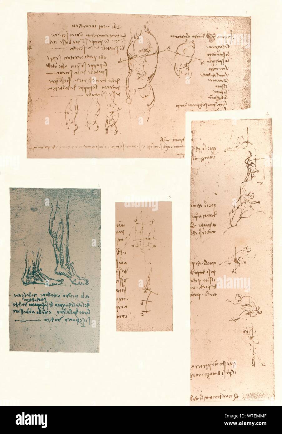 Four drawings illustrating the theory of the movements of the human ...
