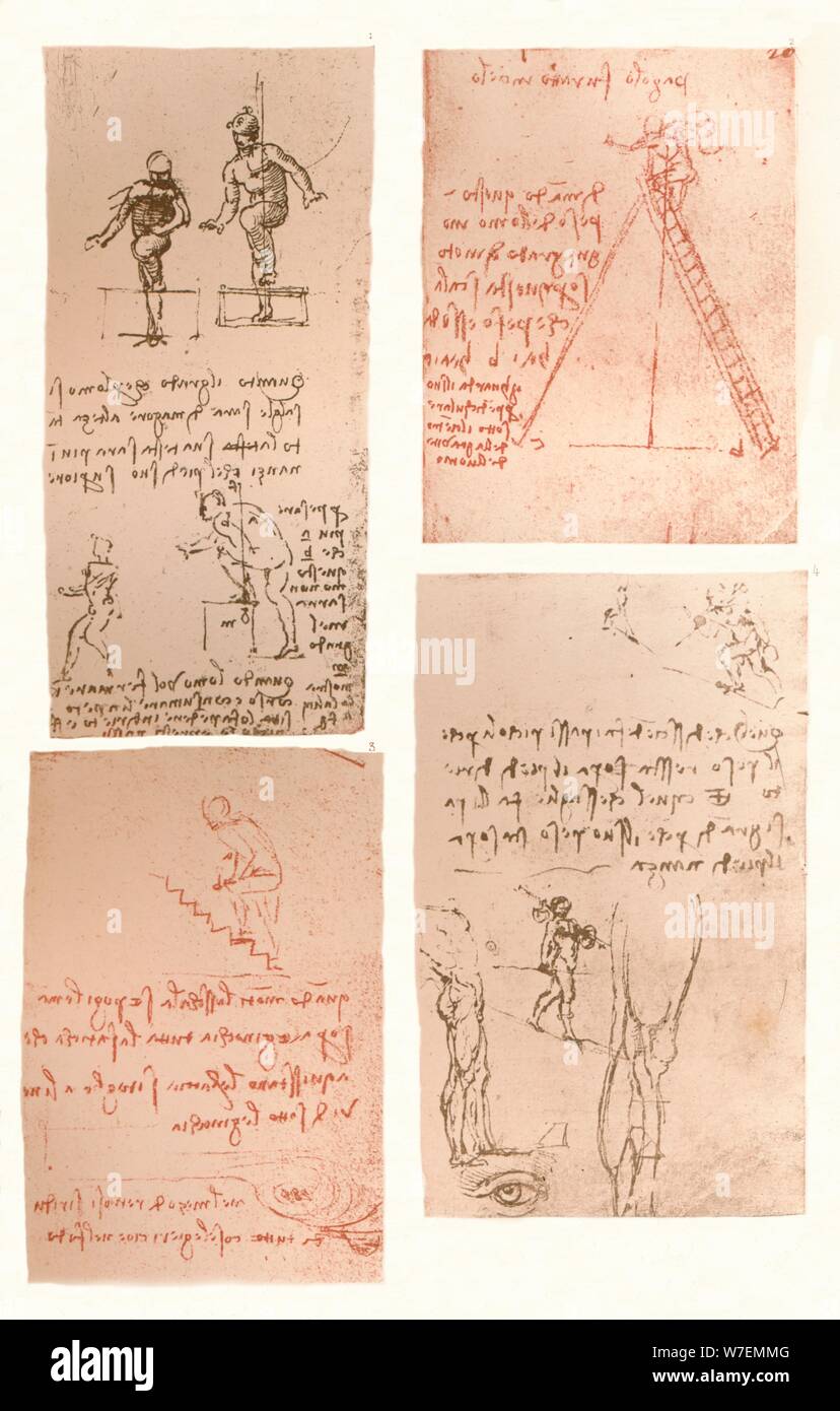Four drawings illustrating the theory of the movements of the human ...