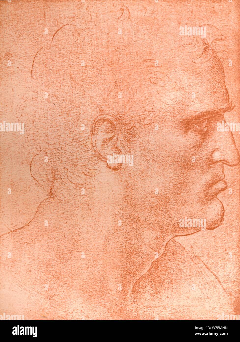 Study for the head of St Matthew in `The Last Supper`, c1494-c1499 ...