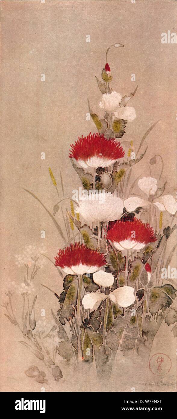 Natane Flower High Resolution Stock Photography and Images - Alamy