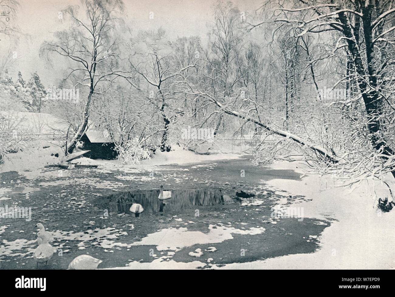 'Winter view of the open-air museum at Skansen', c1900. Artist: Unknown ...