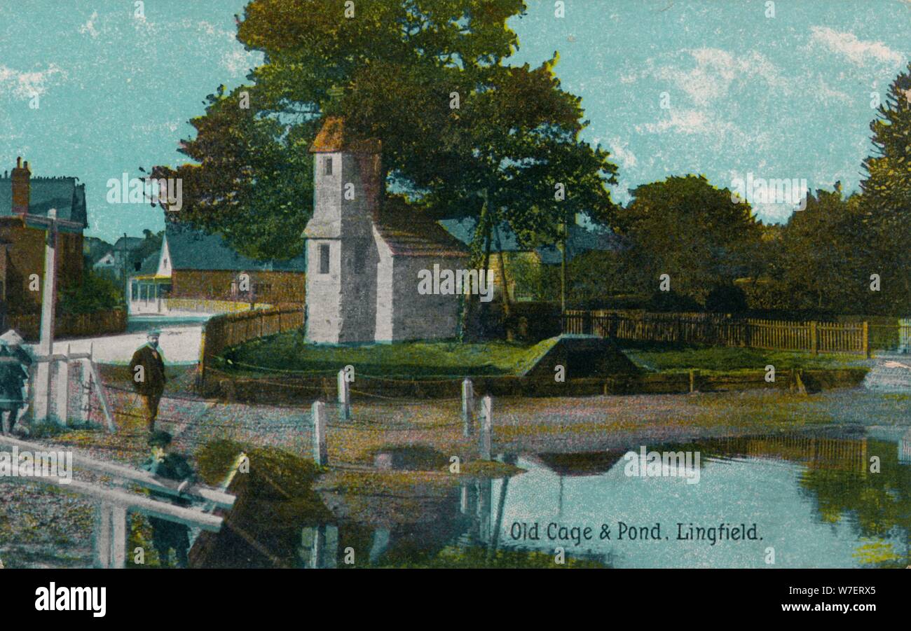 Old cage and pond, Lingfield, Surrey, c1905. Artist: Unknown Stock ...