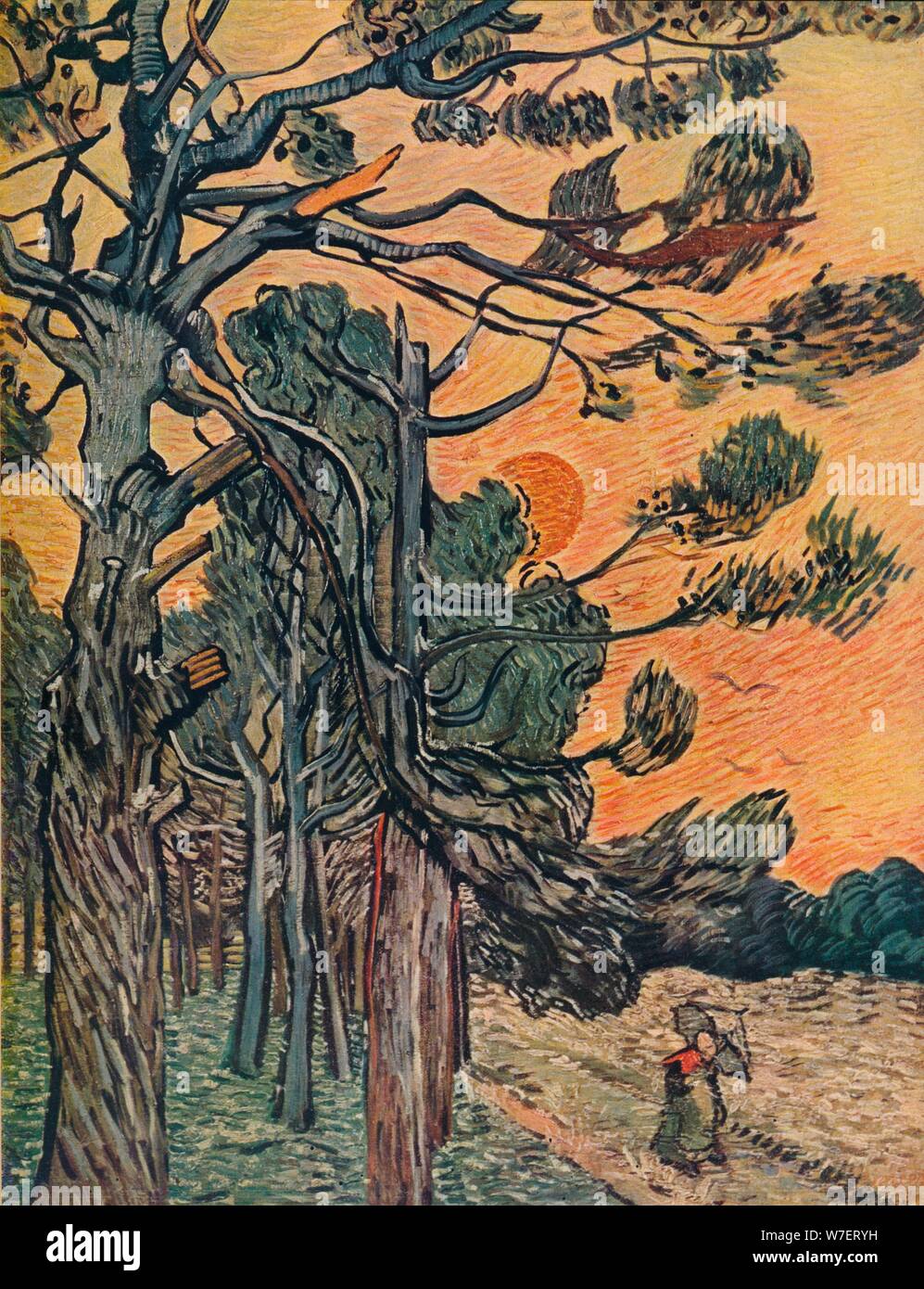 'Foret De Sapins Au Declin Du Jour', 1889. Artist: Vincent van Gogh ...