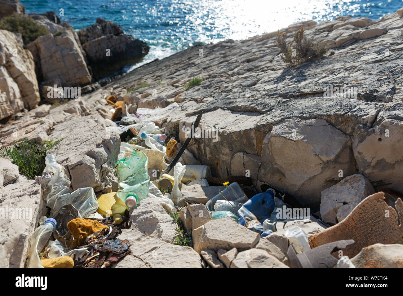 Marine debris accumulates heavily along seashores. Plastic bottles and ...