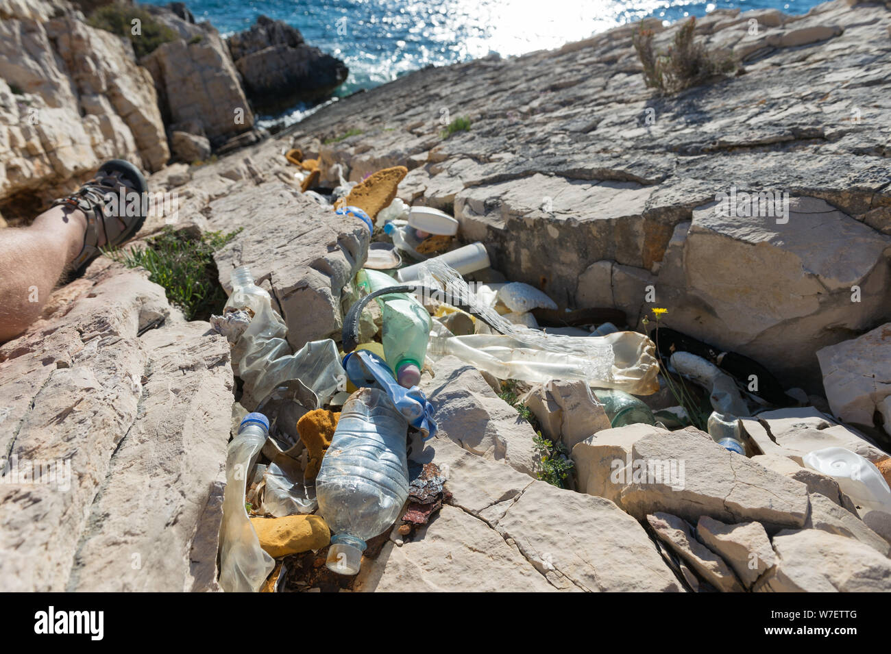 Marine debris accumulates heavily along seashores. Plastic bottles and ...