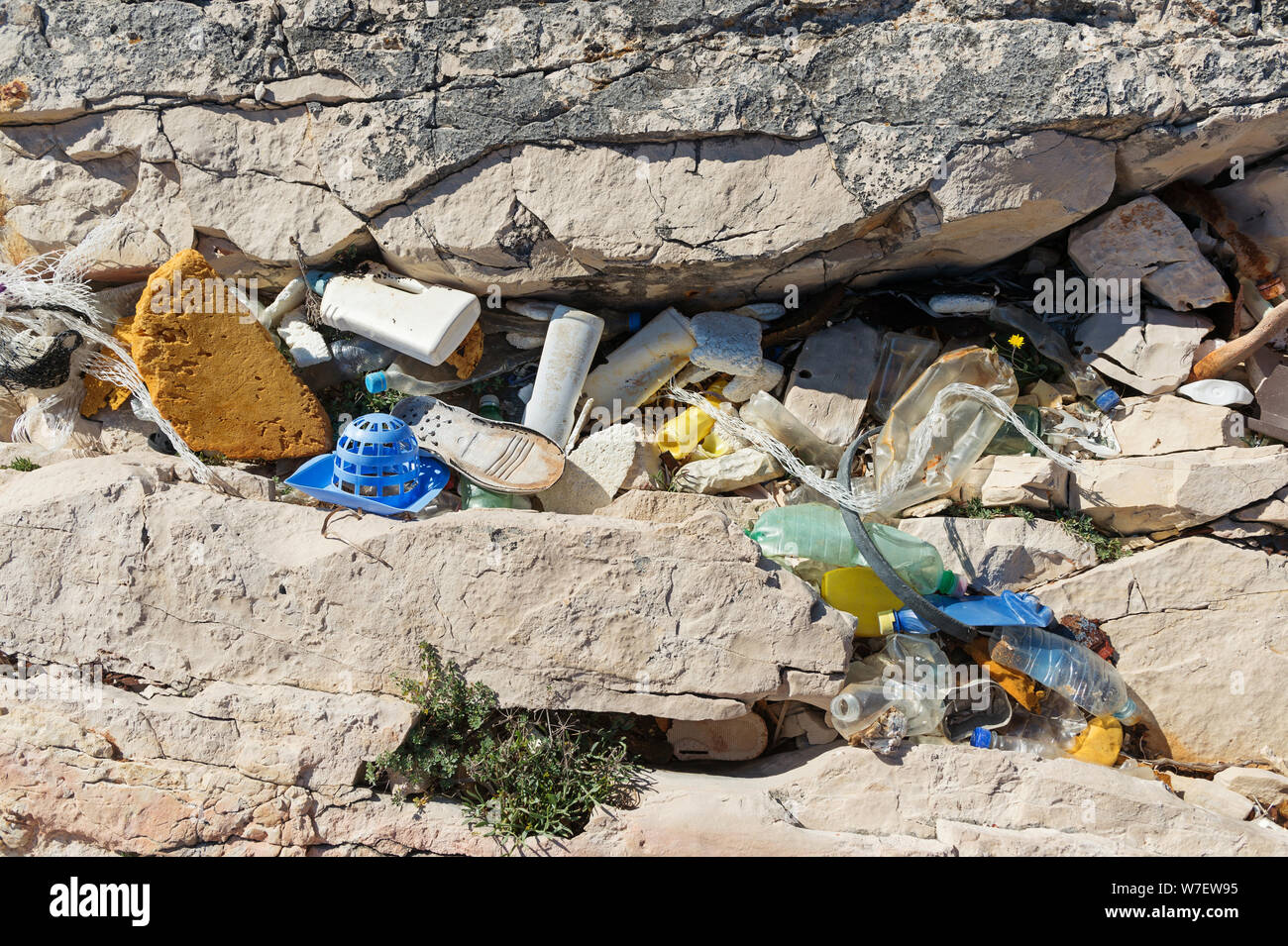 Marine debris accumulates heavily along seashores. Plastic bottles and ...