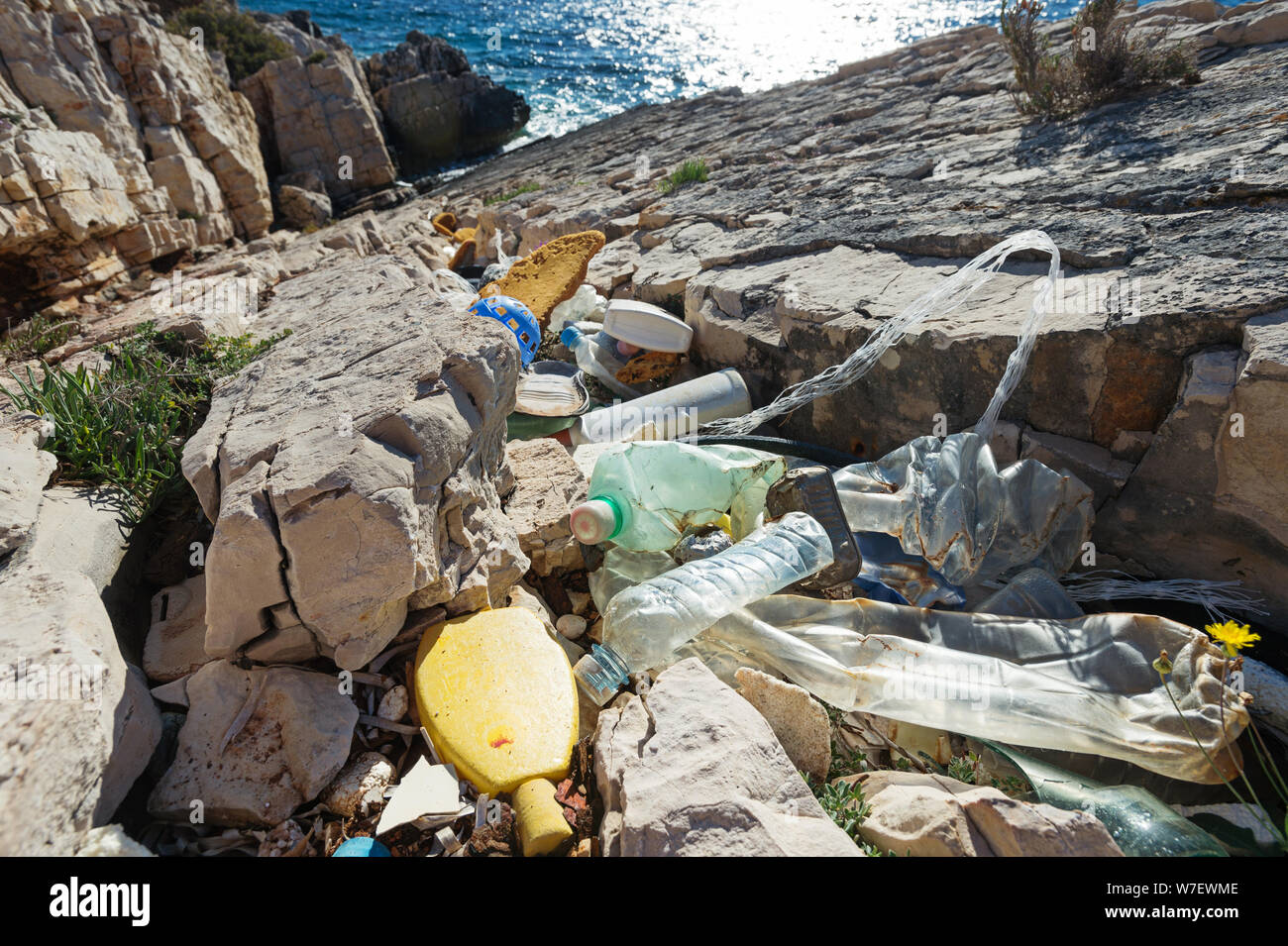 Marine debris accumulates heavily along seashores. Plastic bottles and ...