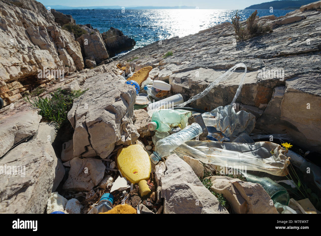 Marine debris accumulates heavily along seashores. Plastic bottles and ...