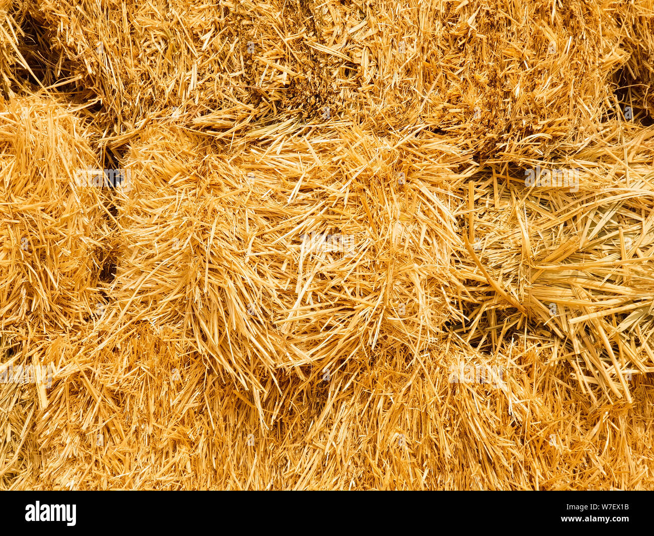 yellow straw texture closeup on a hot summer day Stock Photo - Alamy