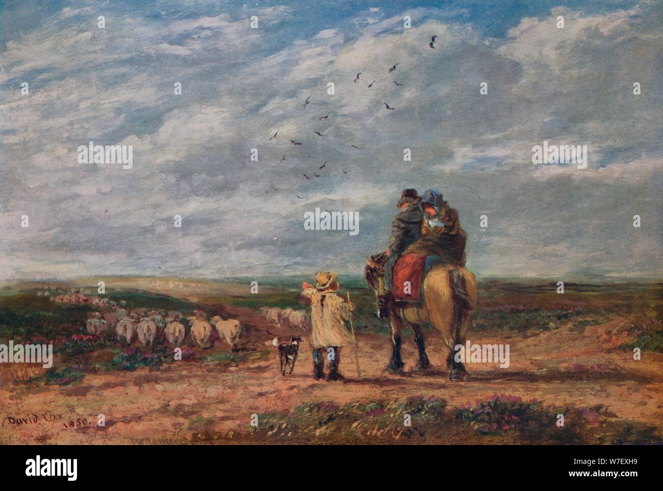 Artist david shepherd hi-res stock photography and images - Alamy