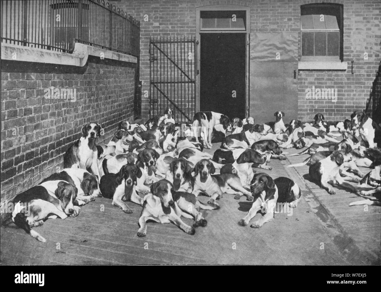 Cottesmore rutland hi-res stock photography and images - Alamy