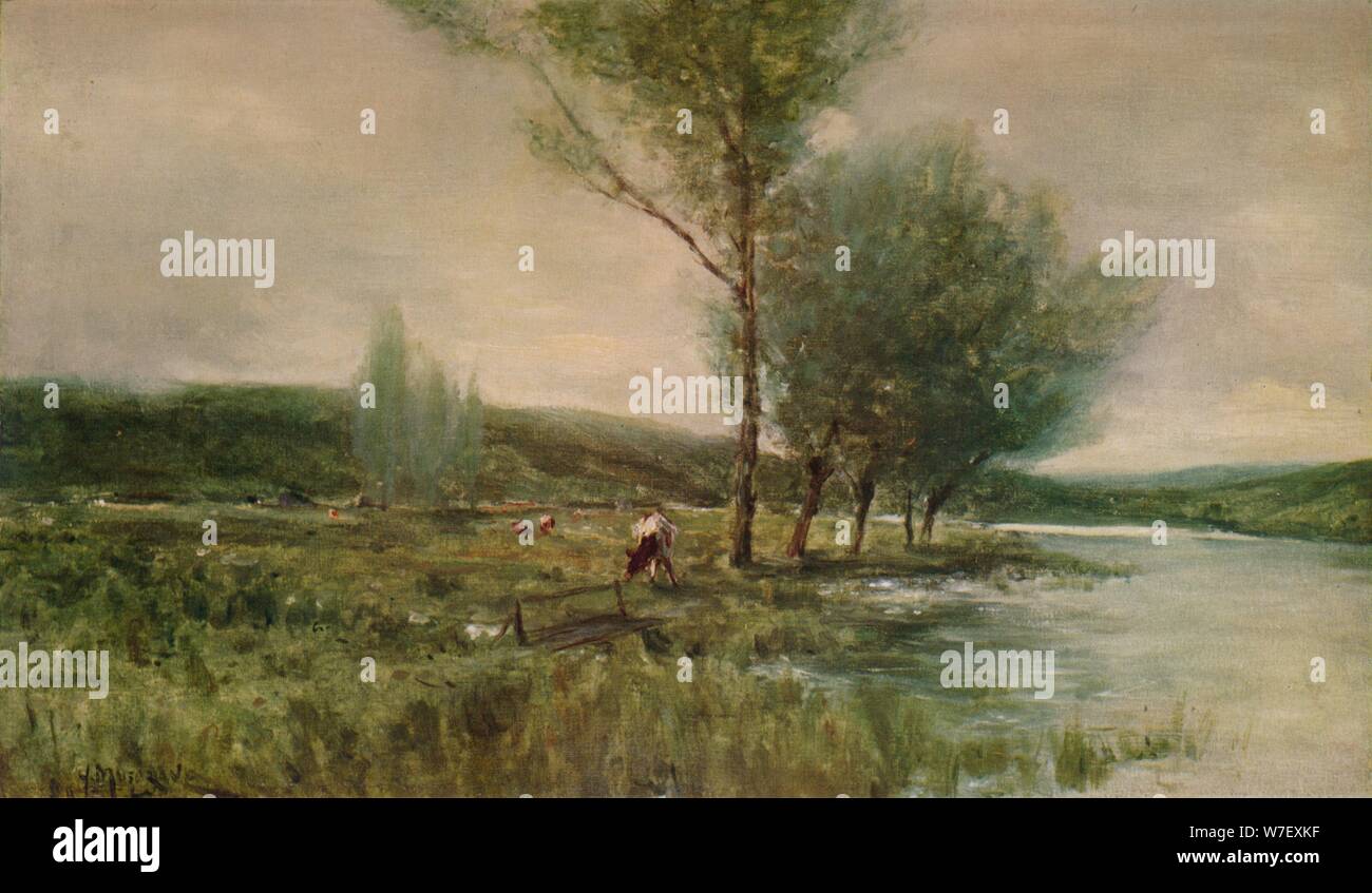 Musgrave river hi-res stock photography and images - Alamy