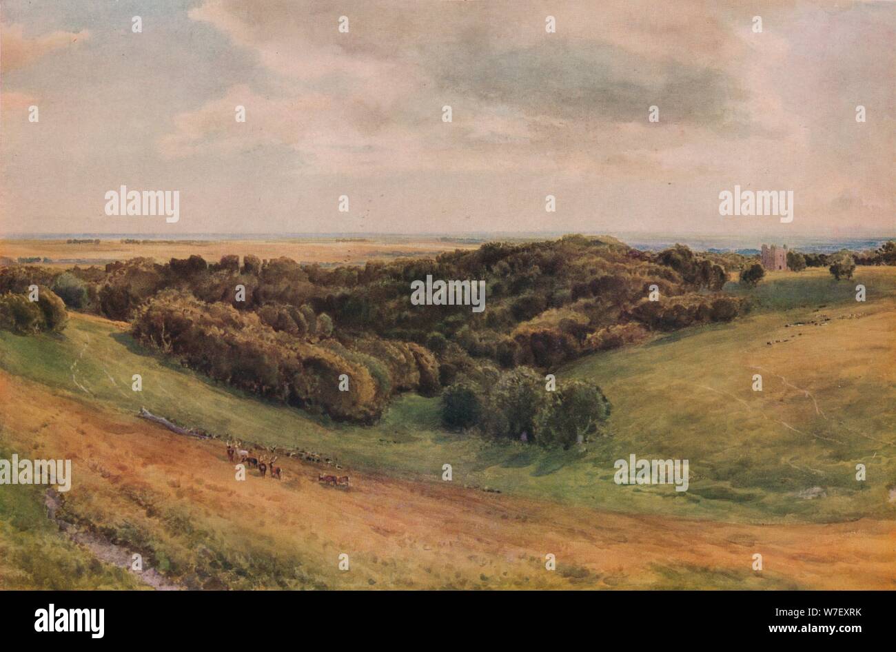 'Arundel Park', 1874. Artist: Thomas Collier Stock Photo - Alamy