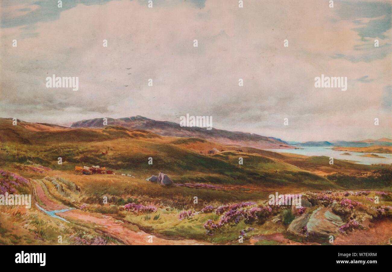 'Loch Awe', 1874. Artist: Thomas Collier Stock Photo - Alamy