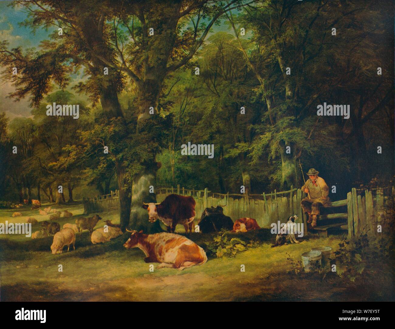 Shady gallery hi-res stock photography and images - Alamy