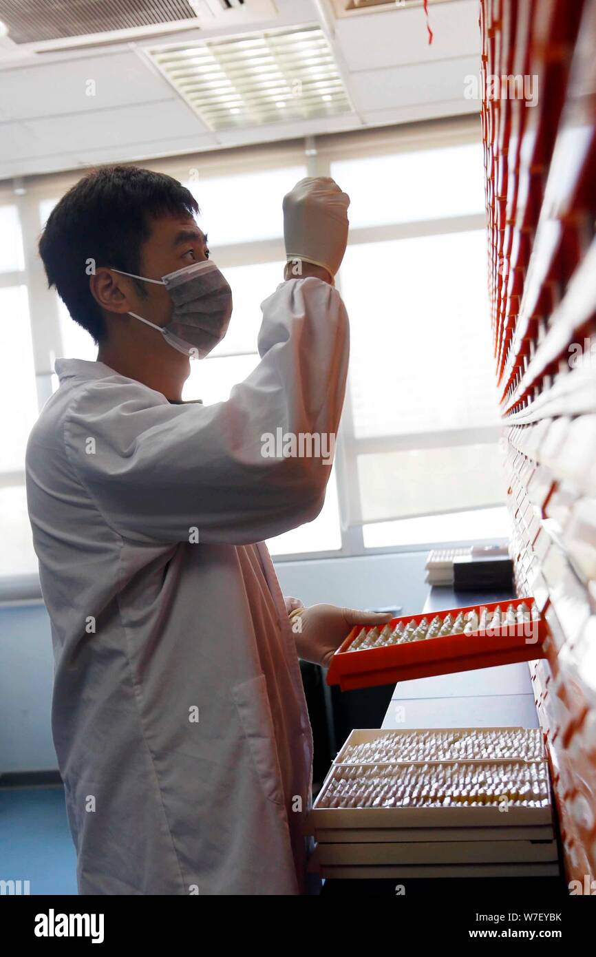 A Chinese researcher checks 500,000 tumor tissues in a lab at China's ...