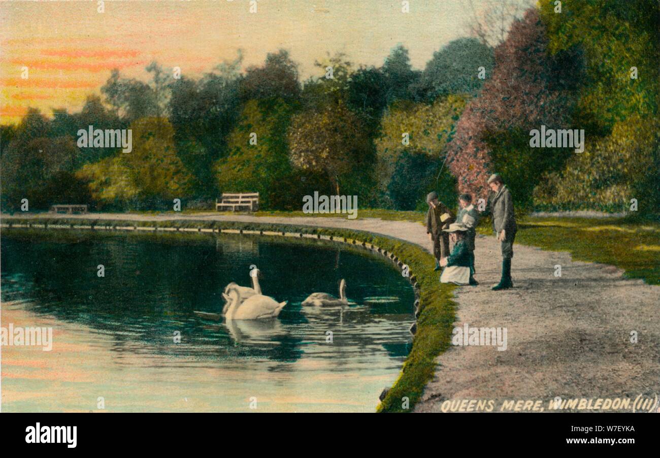 Wimbledon common pond hi-res stock photography and images - Alamy