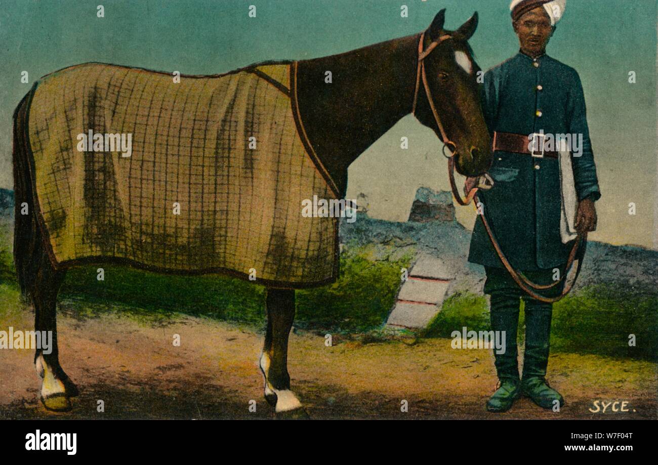 'Syce', c1910. Artist: Unknown Stock Photo - Alamy