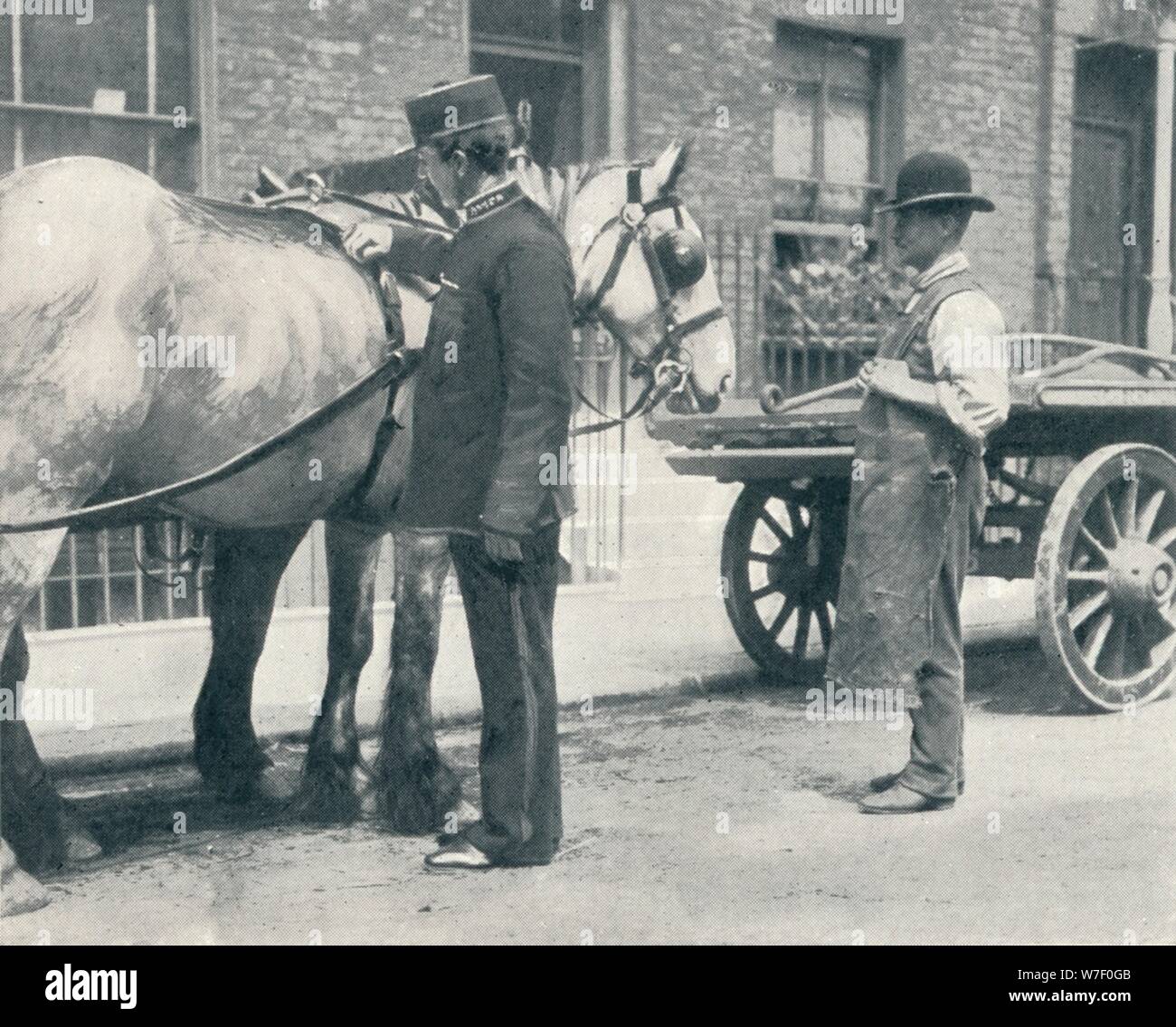 Rspca uniform hi-res stock photography and images - Alamy